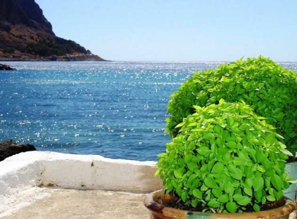 iΠόρτα - Το καθημερινό περιοδικό σου - iporta.gr